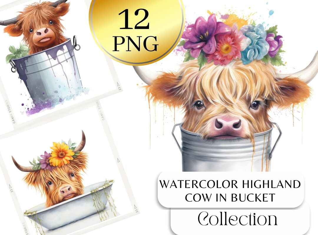 Set of 12 Highland Cow in Bucket Png Highland Cow in Tub - Etsy
