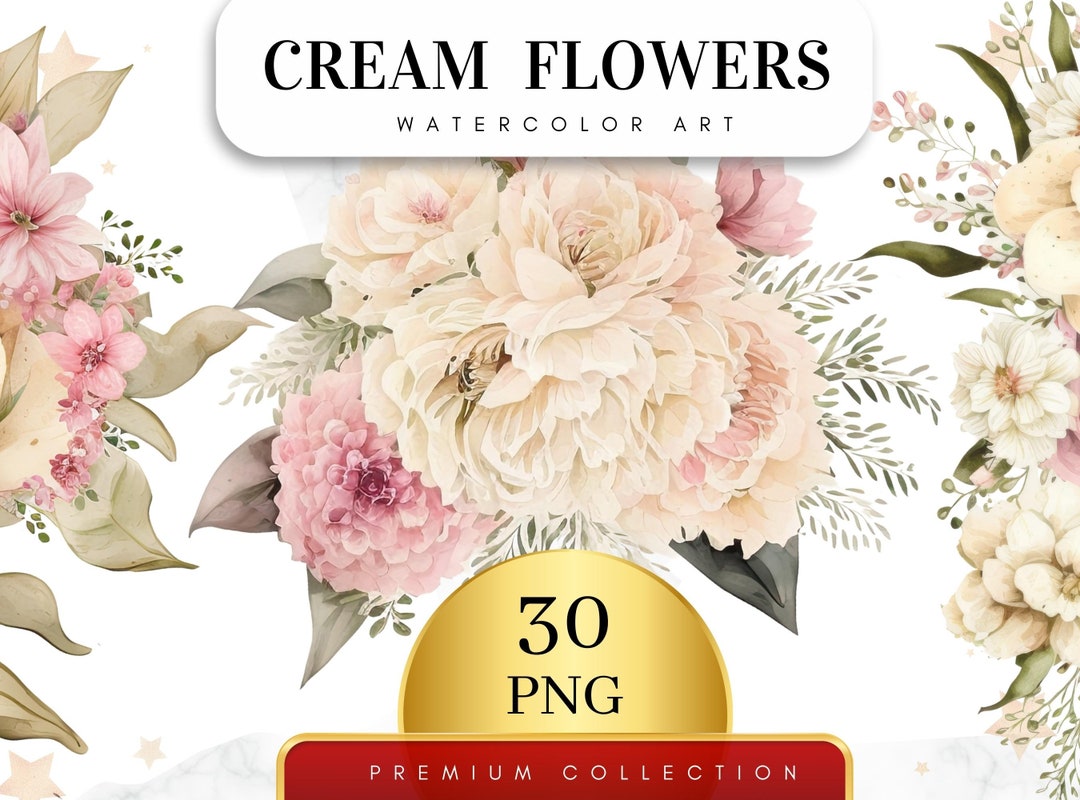 Set of 30, Pink and Cream Flowers PNG, Watercolor Floral Clipart, Pink ...