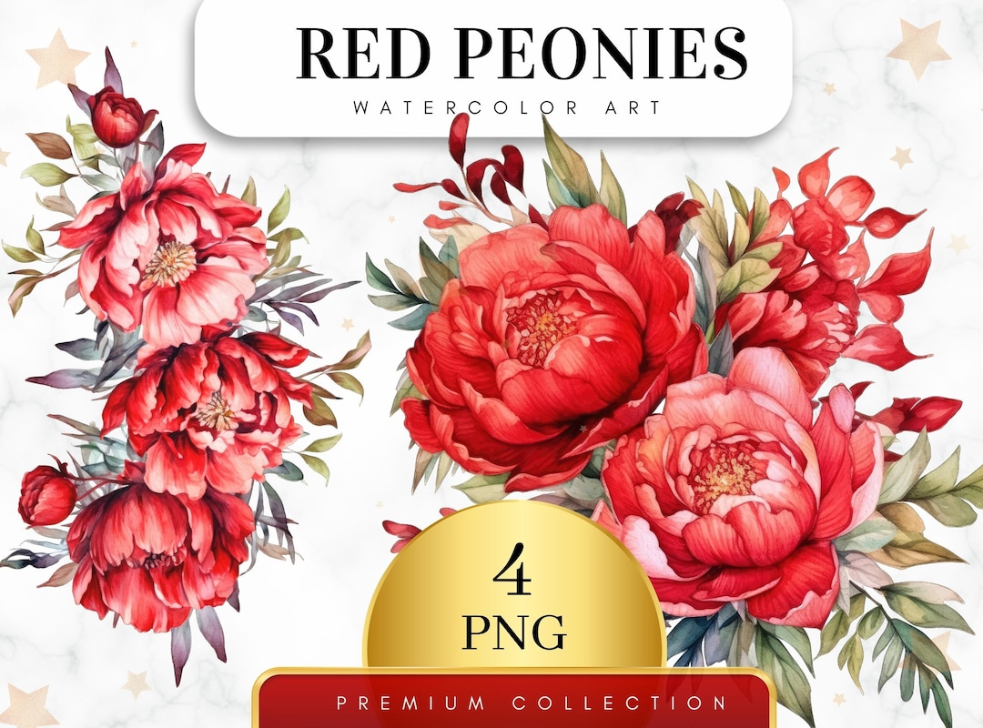 Set of 4, Watercolor Red Peonies Floral Clipart, Floral PNG, Floral ...