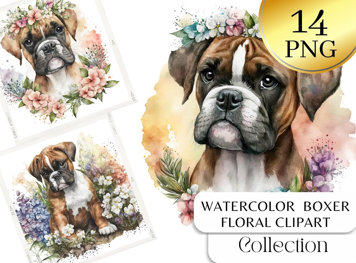 Set of 14 Watercolor Boxer Dog Clipart Spring Boxer Dog With - Etsy