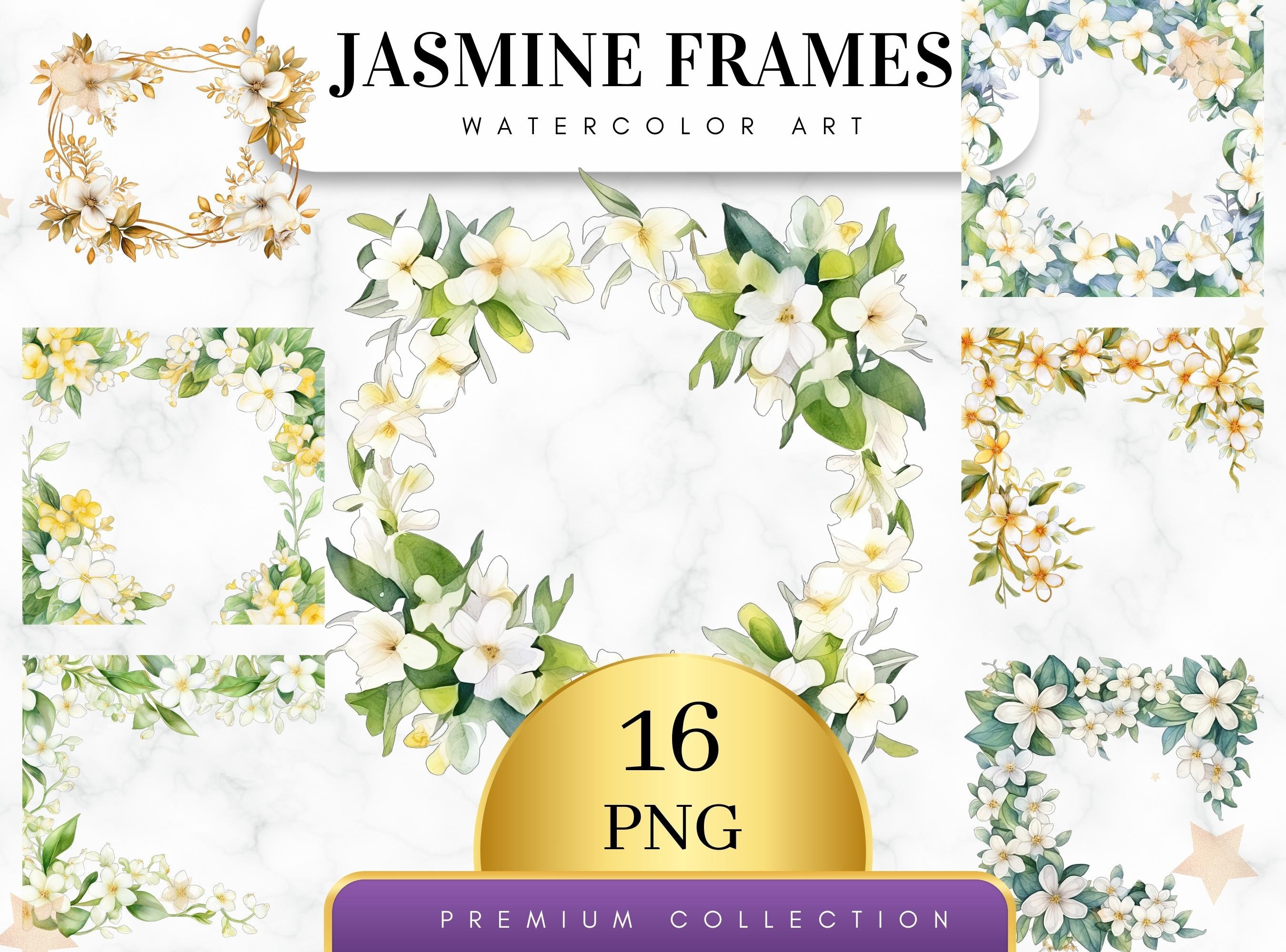 Set of 16, Jasmine Frames Clipart, Floral Frame Clipart, Watercolor ...