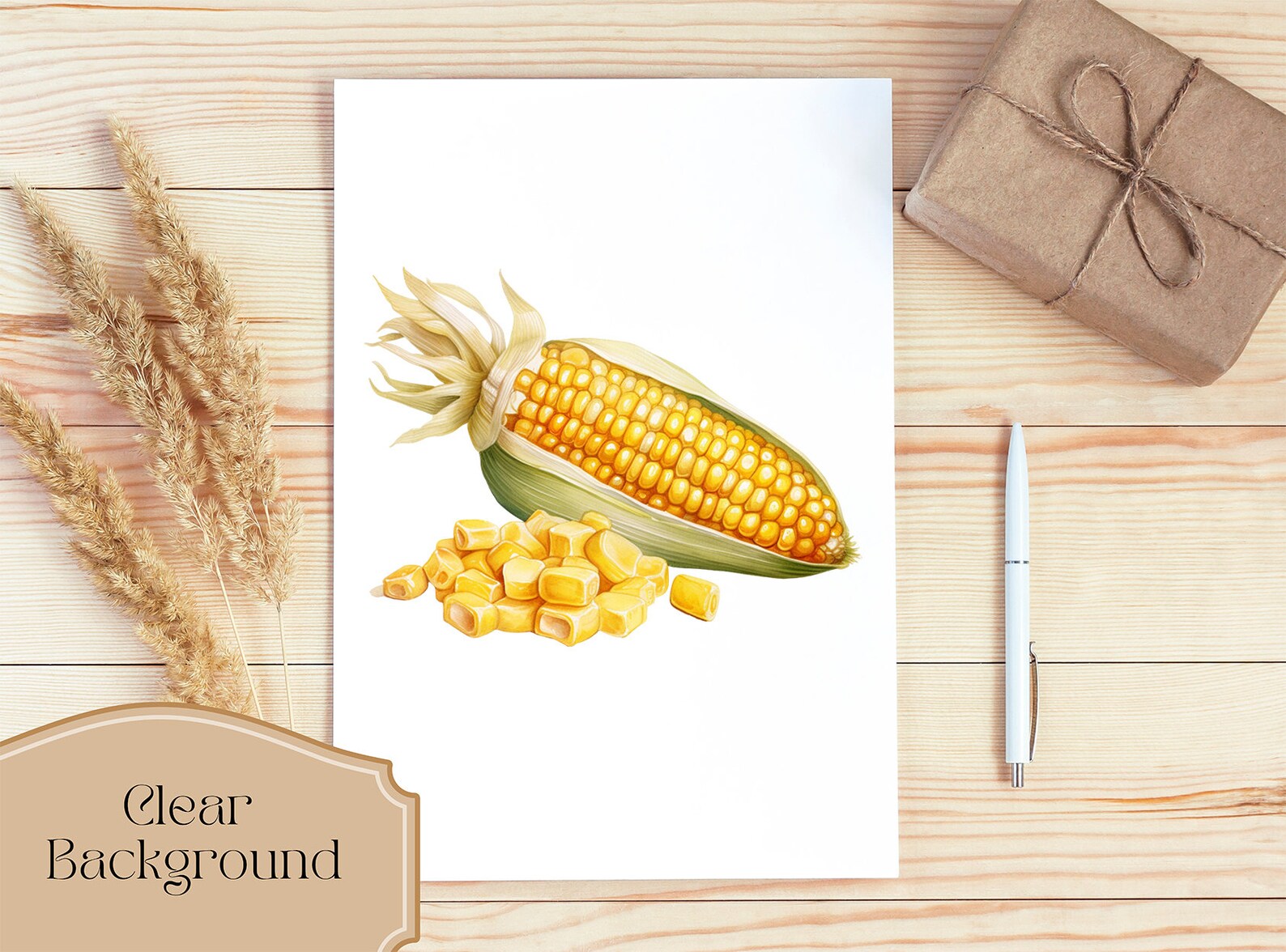 Set of 24, Watercolor Corn Clipart, Corn PNG, Harvest Clipart ...