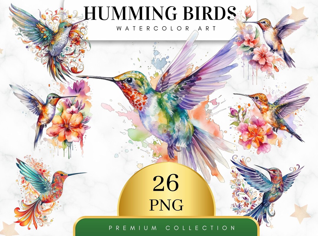 Set of 26, Watercolor Humming Birds Clipart, Spring Birds Png, Birds ...