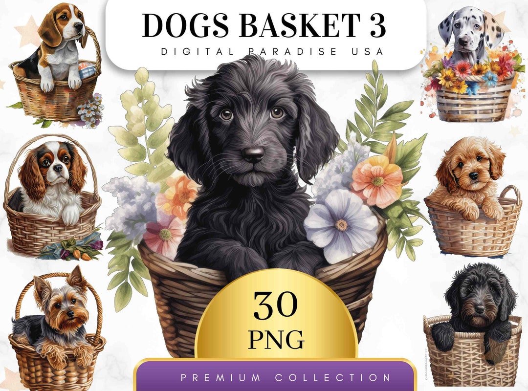 Set of 30, Watercolor Dogs in Basket, Animal PNG, Cute Floral Dogs ...