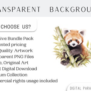 Set of 16, Red Panda Clipart, Cute Panda PNG, Animal Clipart ...