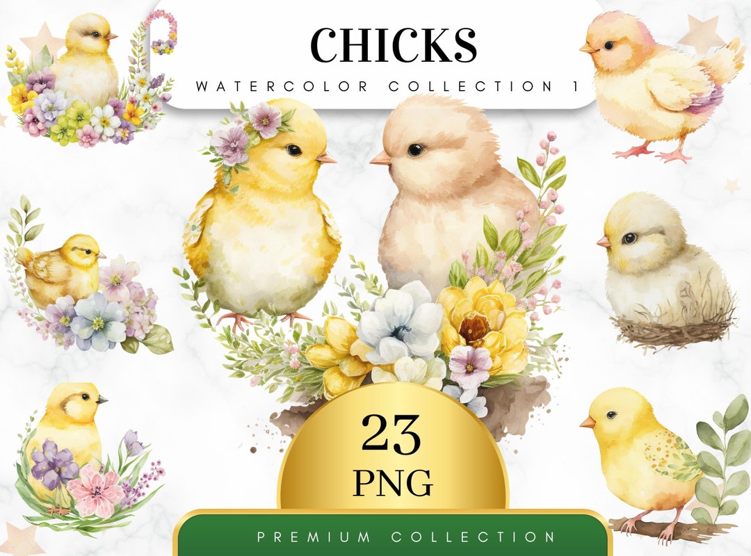 Set of 23, Watercolor Chicks Clipart Bundle, Cute Baby Chickens, Easter ...