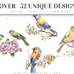 Set of 52, Watercolor Birds Clip Art, Colorful Birds Clipart, Spring ...