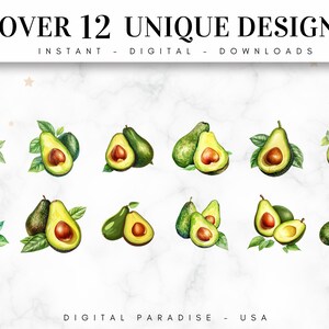 Set of 12, Watercolor Avocado, Avocado Clipart, Avocado PNG, Fruit ...