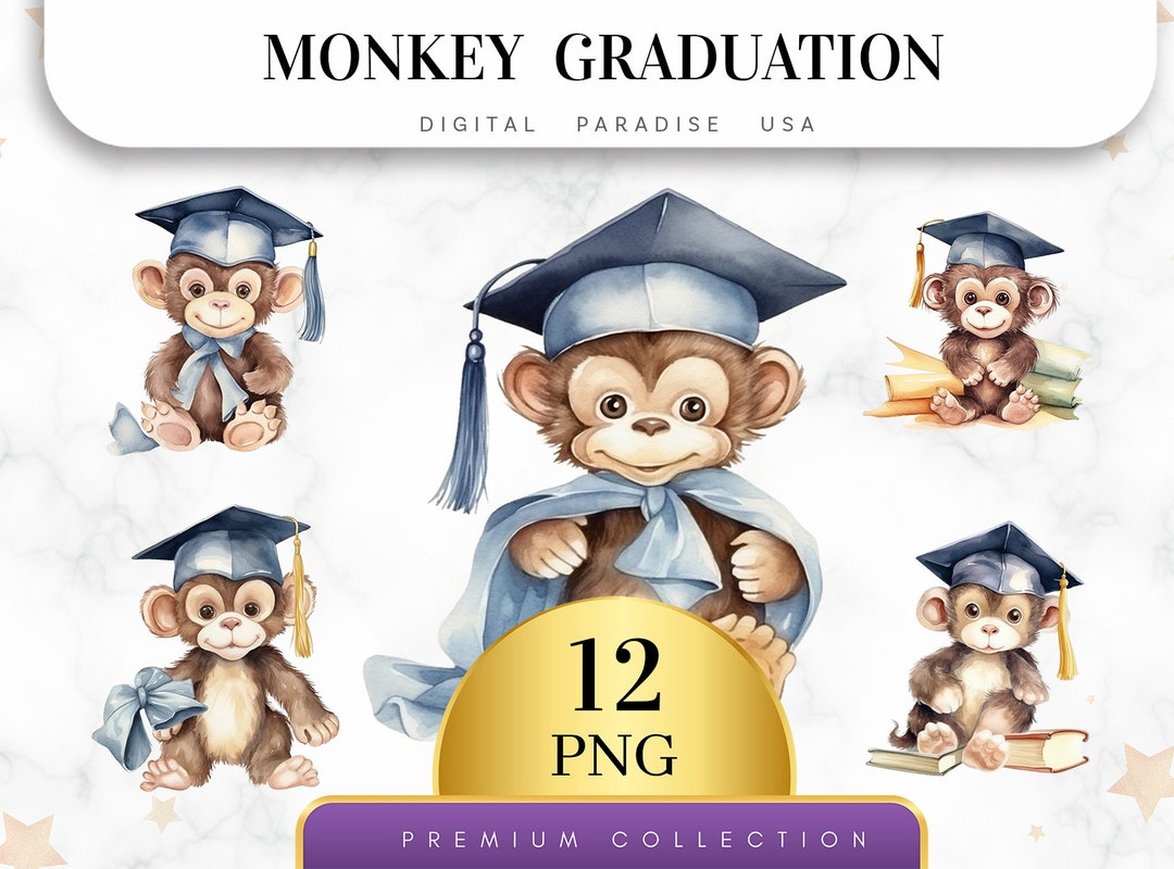 Set of 12, Monkey Graduation Clipart, Monkey Graduation Cap, Monkey PNG ...
