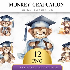 Set of 12, Monkey Graduation Clipart, Monkey Graduation Cap, Monkey PNG ...