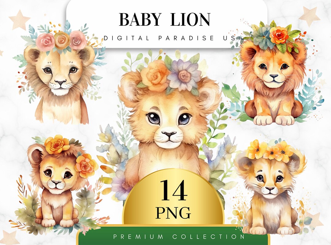 Set of 14, Baby Lion Clipart, Lion PNG, Jungle Animal Clipart, Floral ...