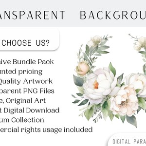 Set of 4, Watercolor White Peonies Clipart, Floral PNG, Floral Clipart ...