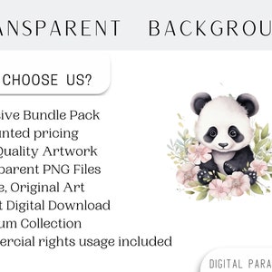 Set of 8, Cute Panda Clipart, Panda PNG, Baby Panda, Panda Bear, Jungle ...