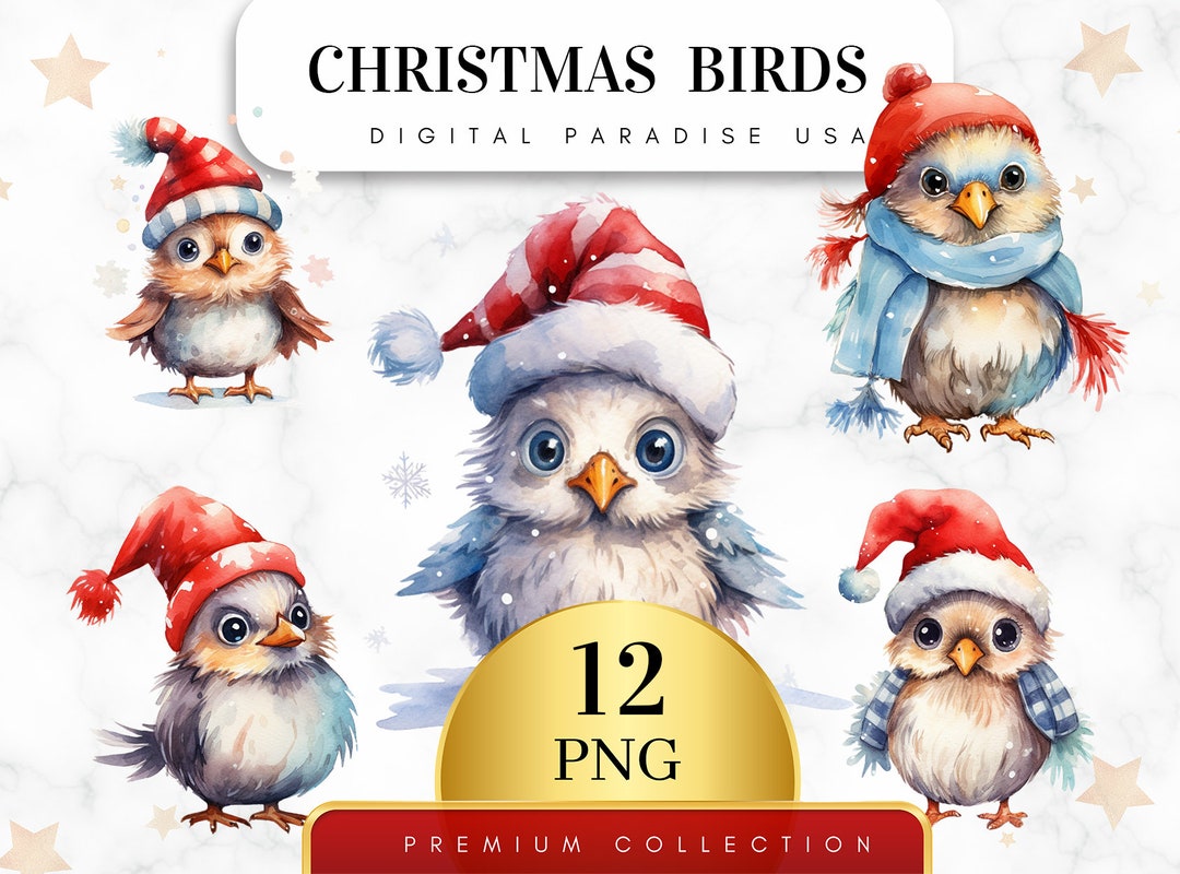 Set of 12 Christmas Birds Clipart Bird PNG Watercolor - Etsy