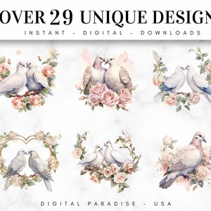 Set of 29, Cute Pigeons Clipart, Pigeon PNG, Bird Clipart, Scrapbook ...
