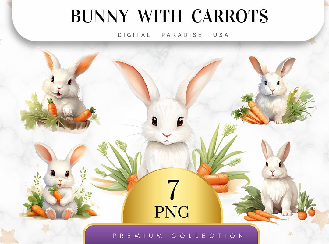 Set of 7, Bunny With Carrots Clipart, Bunny PNG, Spring Clipart, Easter ...