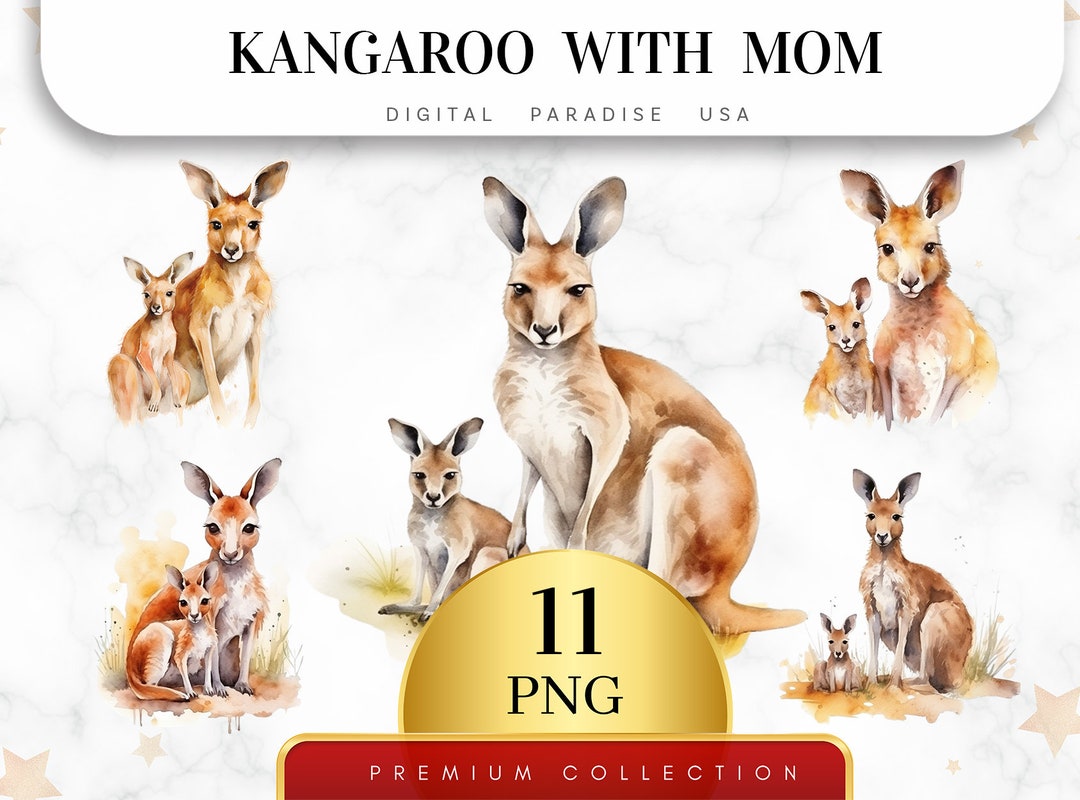 Set of 11, Kangaroo With Mom Clipart, Kangaroo Clipart, Kangaroo PNG ...