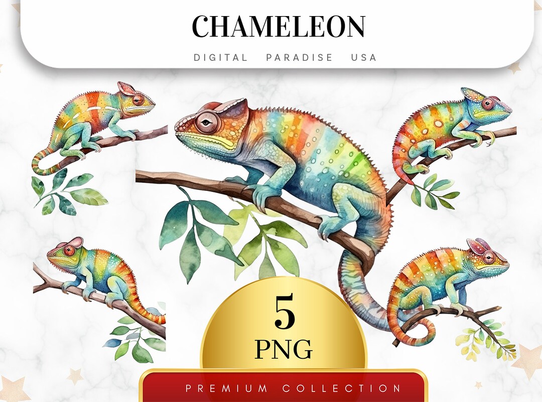Set of 5, Chameleon Clipart, Chameleon PNG, Watercolor Chameleon ...