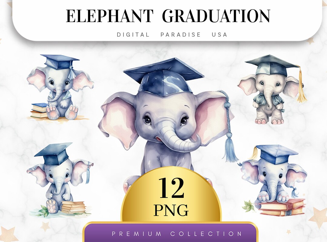 Set of 12, Elephant Graduation Clipart, Elephant Clipart, Elephant PNG ...