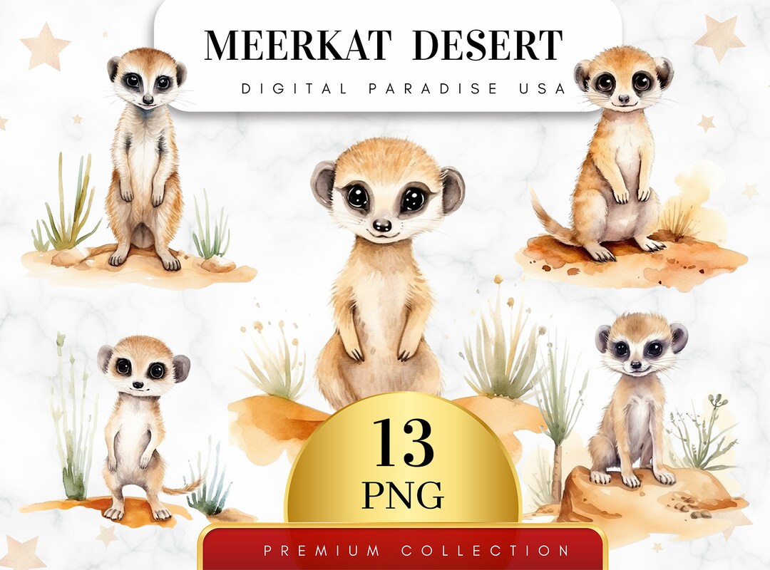 Set of 13, Meerkat Desert Clipart, Meerkat Clipart PNG, Desert Animals ...