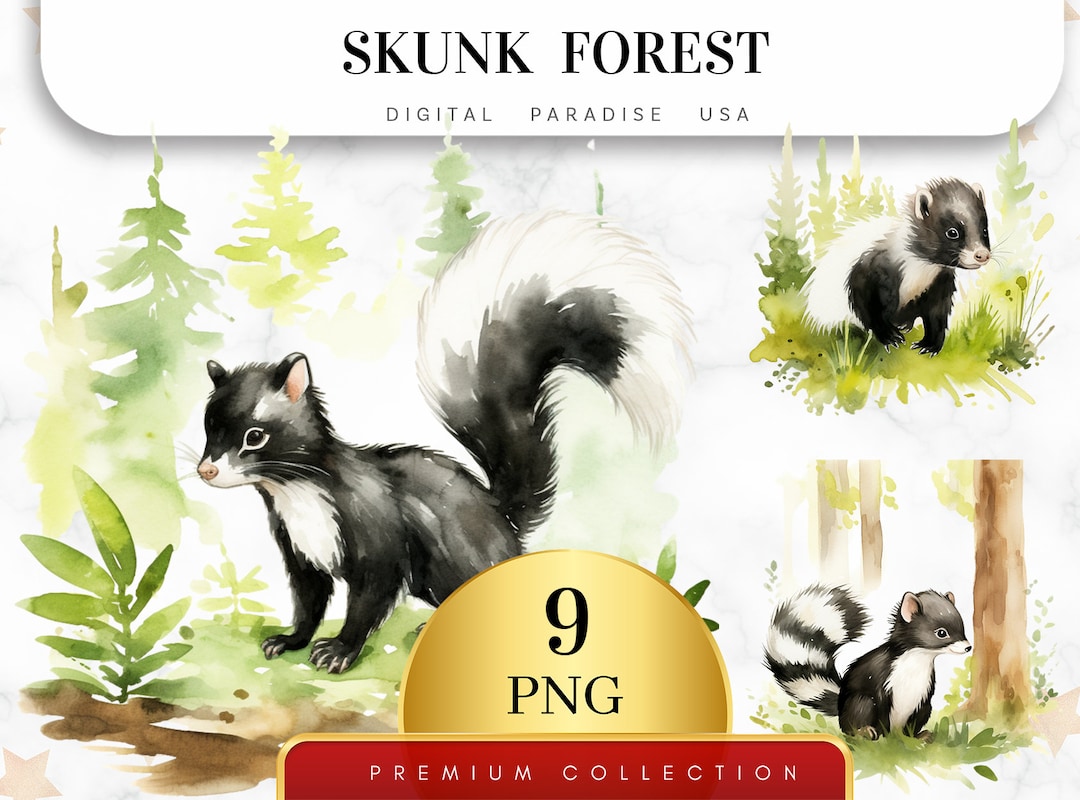 Set of 9, Skunk Forest Clipart, Skunk PNG, Woodland Animals PNG, Animal ...