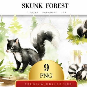 Set of 9, Skunk Forest Clipart, Skunk PNG, Woodland Animals PNG, Animal ...