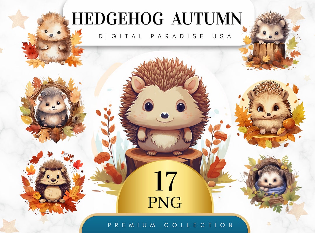 Set of 17 Hedgehog Autumn Clipart Hedgehog Clipart Hedgehog - Etsy