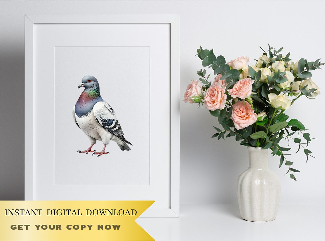 Set of 8, Pigeon Clipart, Cute Bird PNG, Watercolor Pigeon, Bird ...