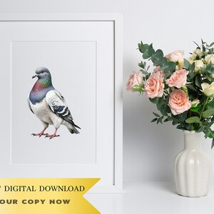 Set of 8, Pigeon Clipart, Cute Bird PNG, Watercolor Pigeon, Bird ...