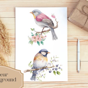 Set of 52, Watercolor Birds Clip Art, Colorful Birds Clipart, Spring ...