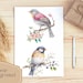 Set of 52, Watercolor Birds Clip Art, Colorful Birds Clipart, Spring ...