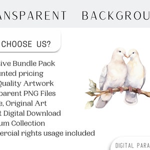 Set of 29, Cute Pigeons Clipart, Pigeon PNG, Bird Clipart, Scrapbook ...