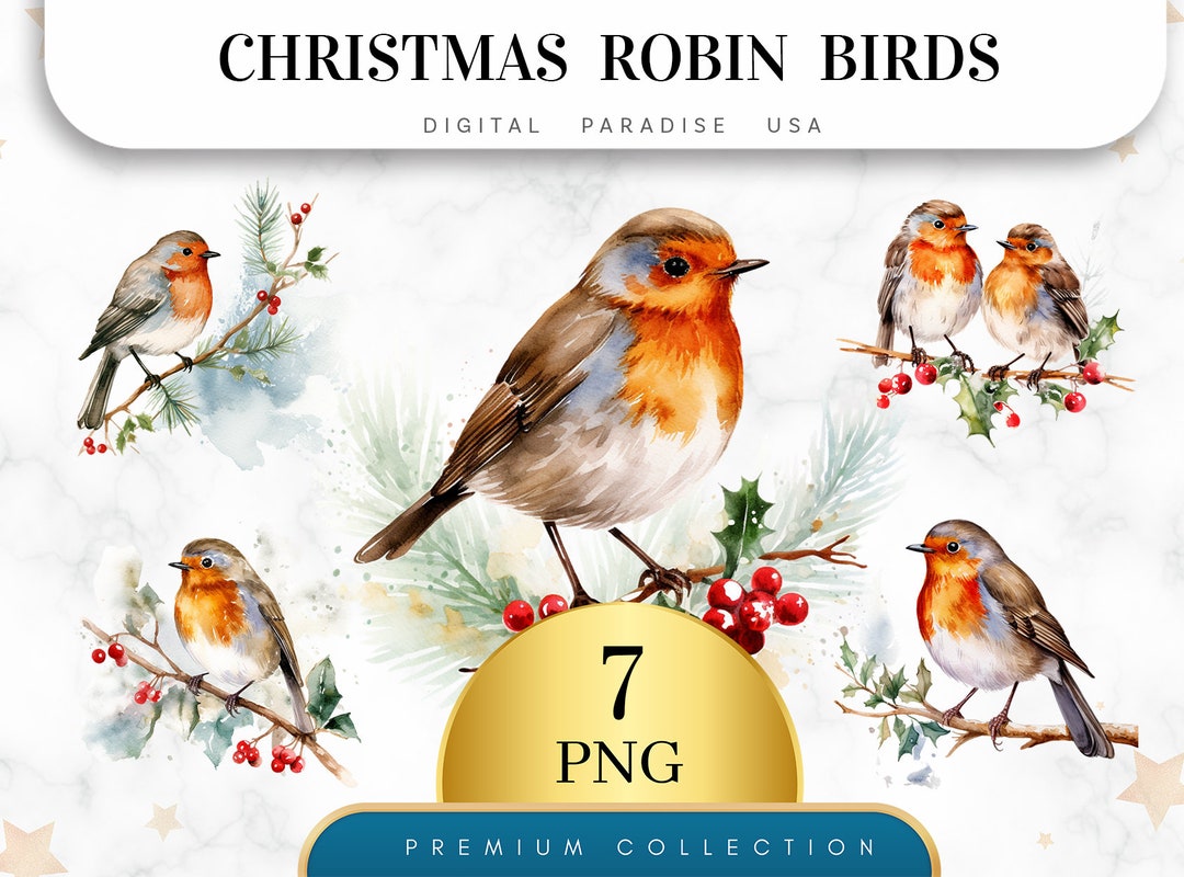 Set of 7, Christmas Robin Birds, Robin Birds PNG, Holiday Clipart ...