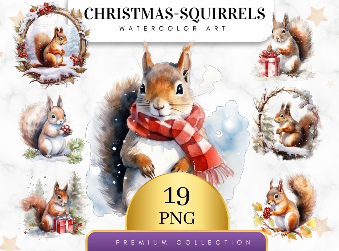 Set of 19, Christmas Squirrels Clipart, Squirrel PNG, Cute Squirrel ...