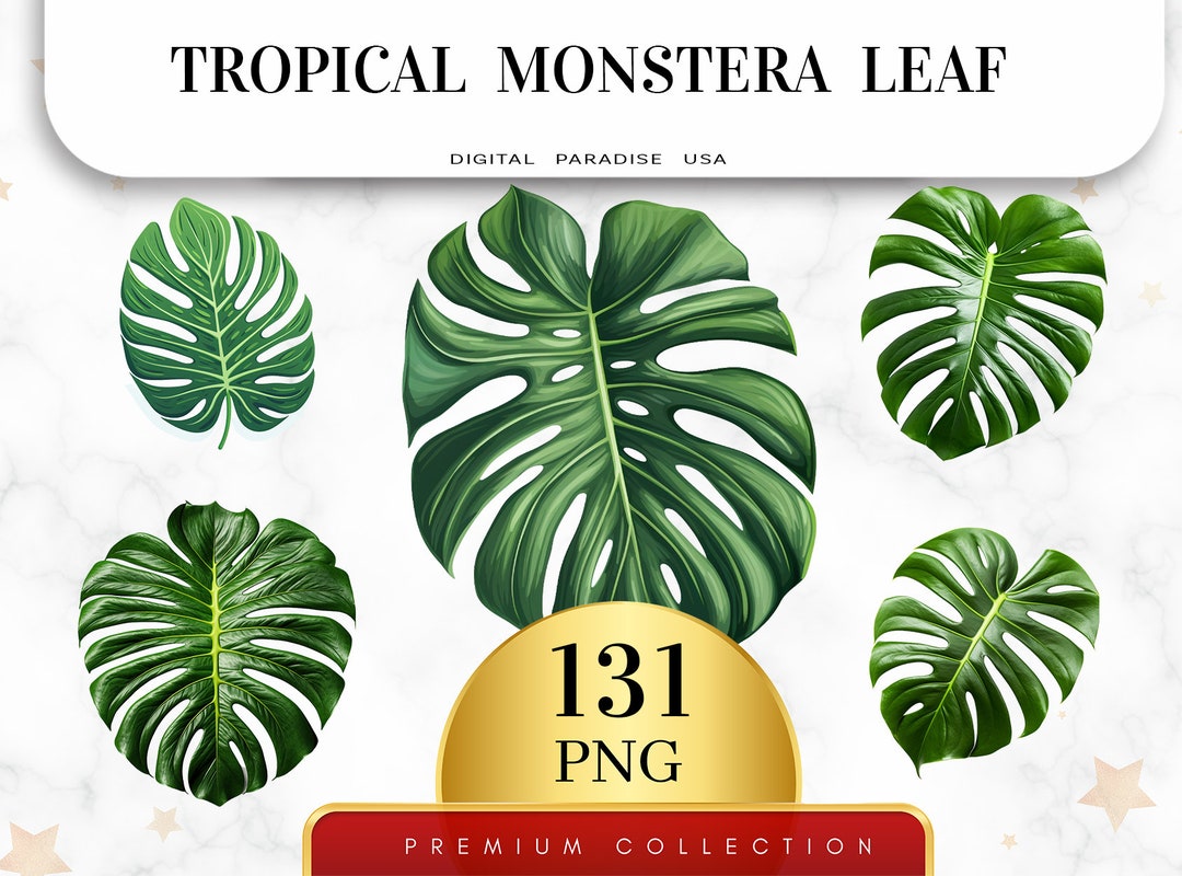 Set of 131, Tropical Monstera Leaf Clipart, Monstera Leaf PNG, Jungle ...