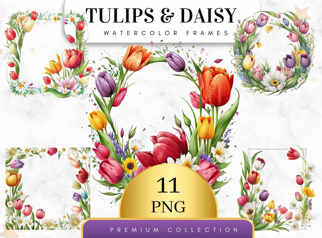 Set of 11, Watercolor Tulips and Daisy Frame, Tulips & Daisy Floral ...