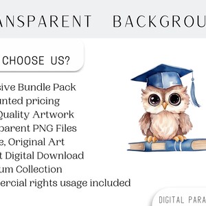 Set of 12, Owl Graduation Clipart, Owl PNG, Graduation Party Decor ...