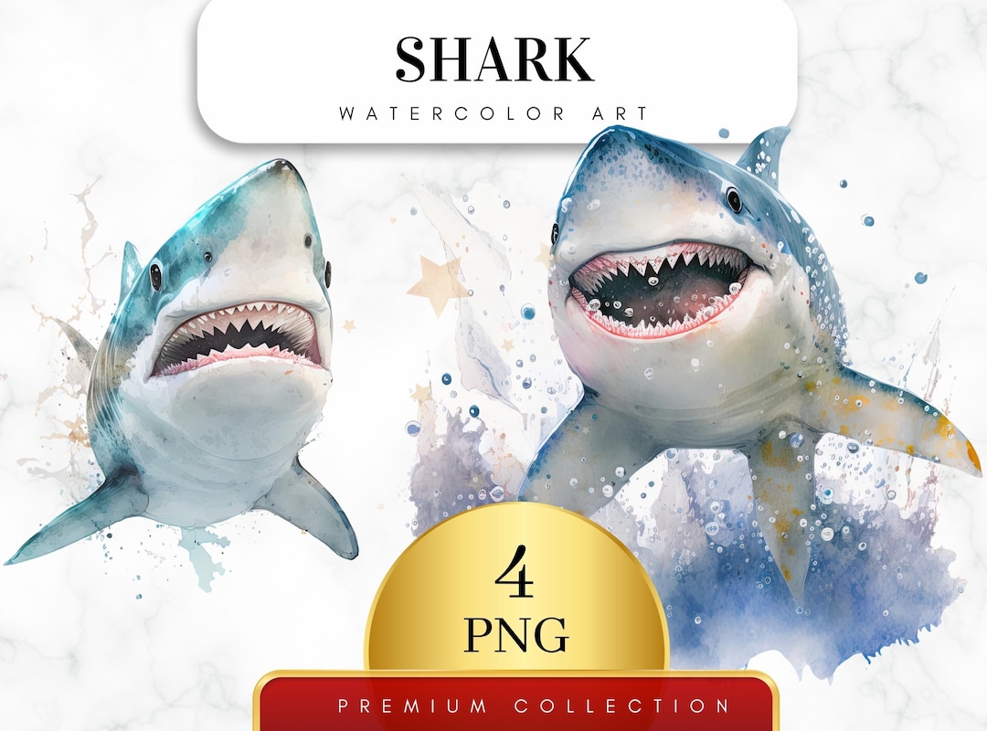 Set of 4 PNG+4JPG, Watercolor Sharks Clipart Bundle - Shark Species ...