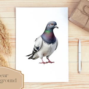 Set of 8, Pigeon Clipart, Cute Bird PNG, Watercolor Pigeon, Bird ...