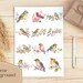 Set of 36 Watercolor Birds Clip Art Colorful Birds Clipart - Etsy