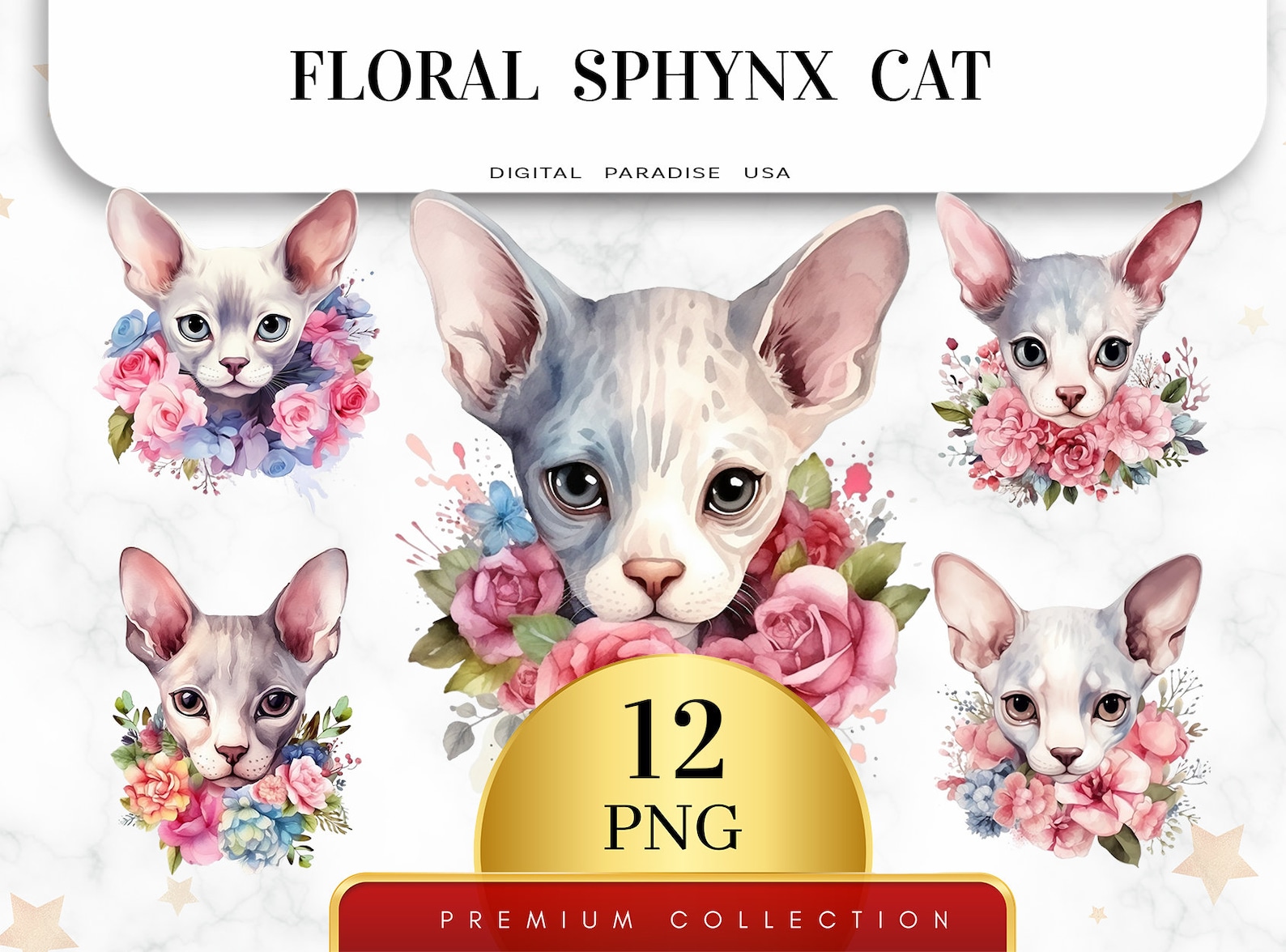Set of 12, Floral Sphynx Cat Clipart, Sphynx Cat PNG, Floral Cat Art ...