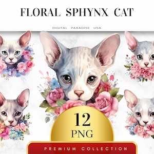 Set of 12, Floral Sphynx Cat Clipart, Sphynx Cat PNG, Floral Cat Art ...