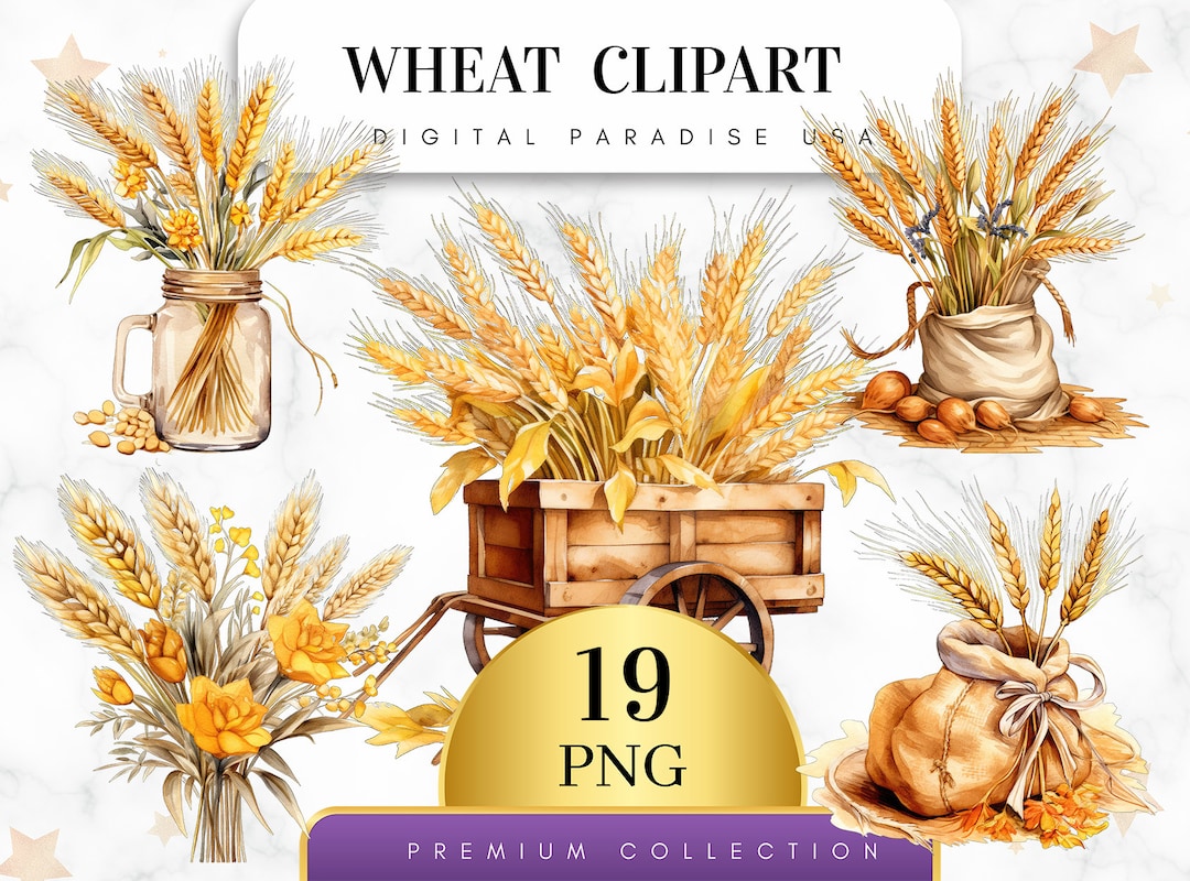 Set of 19, Wheat Clipart, Wheat Bundle, Wheat PNG, Sublimation Clipart, Watercolor Wheat, Farm ...