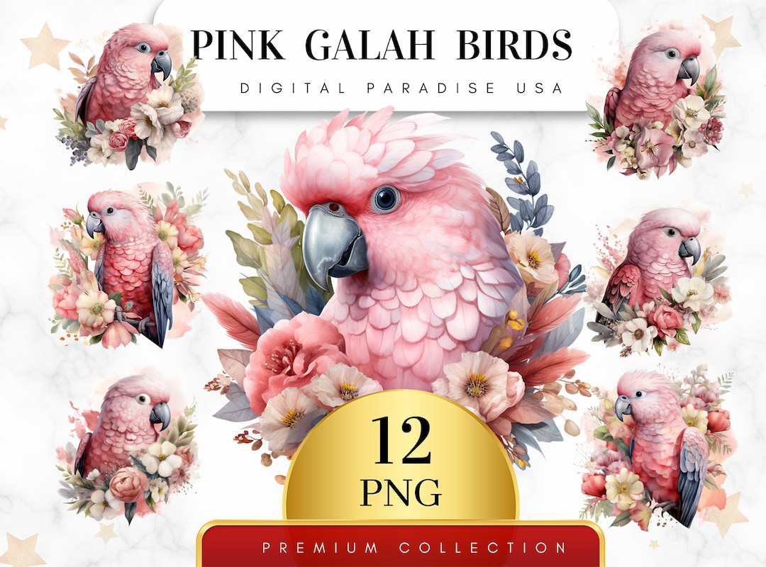 Set of 12, Pink Galah Birds Clipart, Galah Clipart, Australian Birds ...