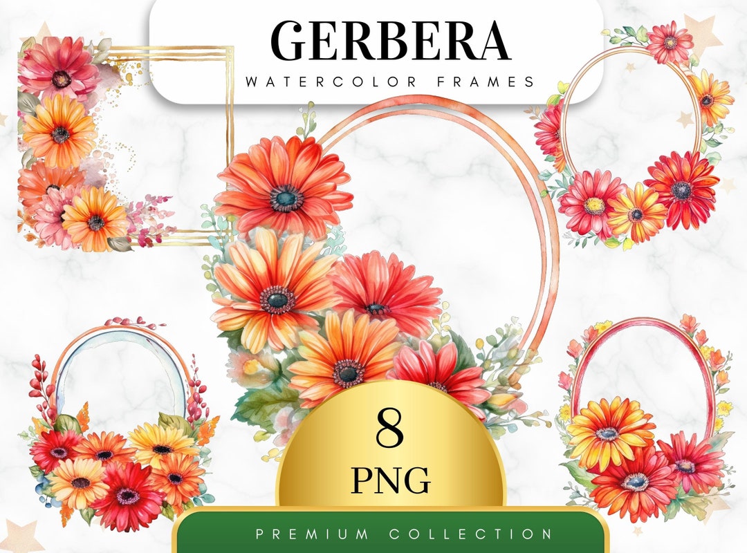 Set of 8, Gerbera Frames & Borders Watercolor, Floral Frame Clipart ...