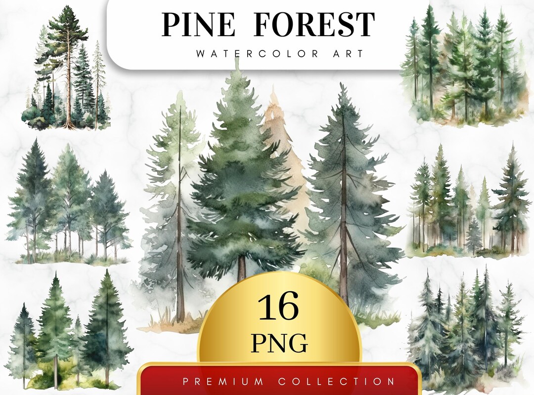 Set of 16, Watercolor Forest Tree Clipart, Pine Tree Png , Woodland ...