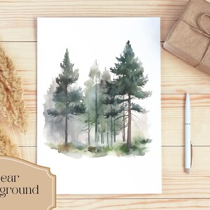 Set of 16, Watercolor Forest Tree Clipart, Pine Tree Png , Woodland ...