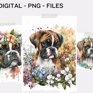 Set of 14 Watercolor Boxer Dog Clipart Spring Boxer Dog With - Etsy