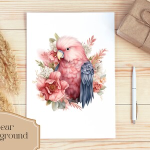 Set of 12, Pink Galah Birds Clipart, Galah Clipart, Australian Birds ...
