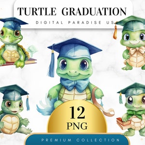 Set of 12, Turtle Graduation Clipart, Turtle PNG, Graduation Cap ...